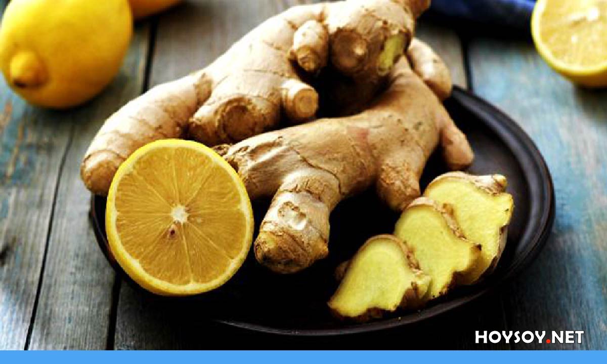 9 beneficios de consumir jengibre para tu salud HOYSOY.NET ️