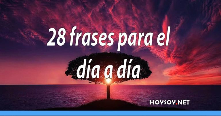 28 Frases para el Día a Día para Compartir. | HOYSOY.NET ️ HOYSOY.NET ️