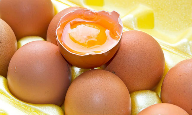 La colina, ¿Qué es y para qué sirve? HOYSOY.NET ️