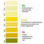El color de la orina dice todo sobre tu salud, ¡Descubre su significado ...